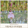 가평 베고니아새정원 서울근교 나들이 장소로 추천 네이버 블로그